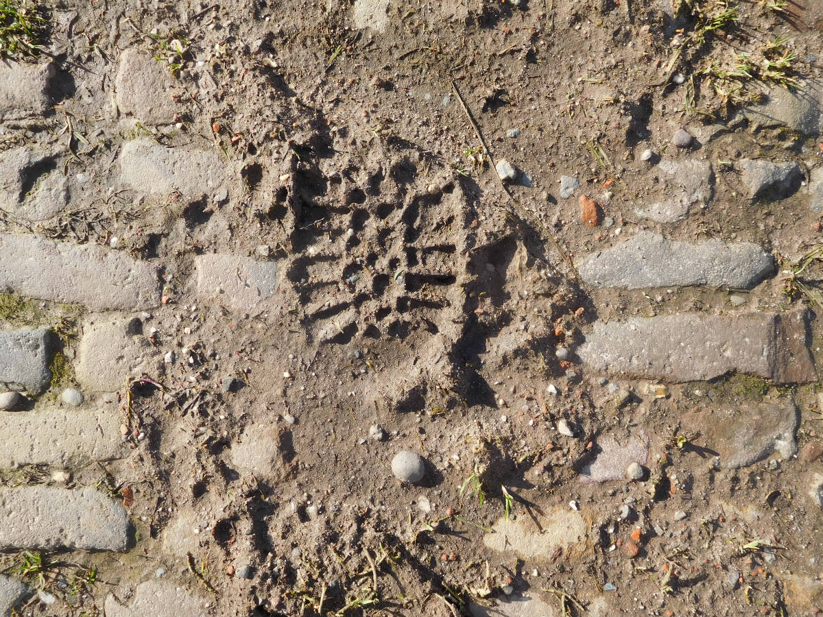 Solve A shoe or boot? jigsaw puzzle online with 108 pieces