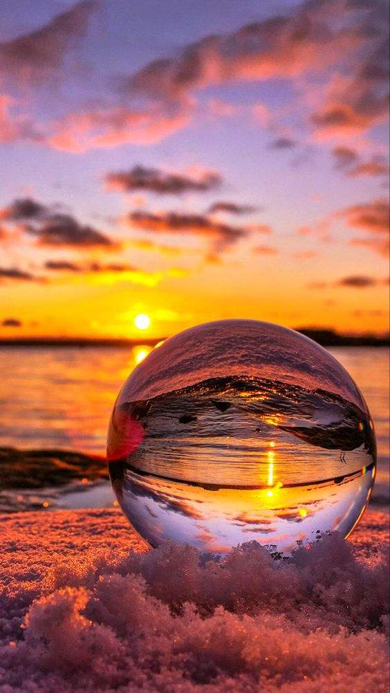 Solve A Reflection Captured jigsaw puzzle online with 84 pieces