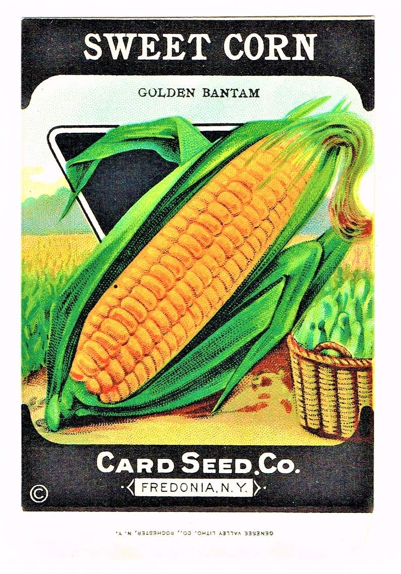 Solve Themes Vintage ads - Sweet Corn jigsaw puzzle online with 165 pieces