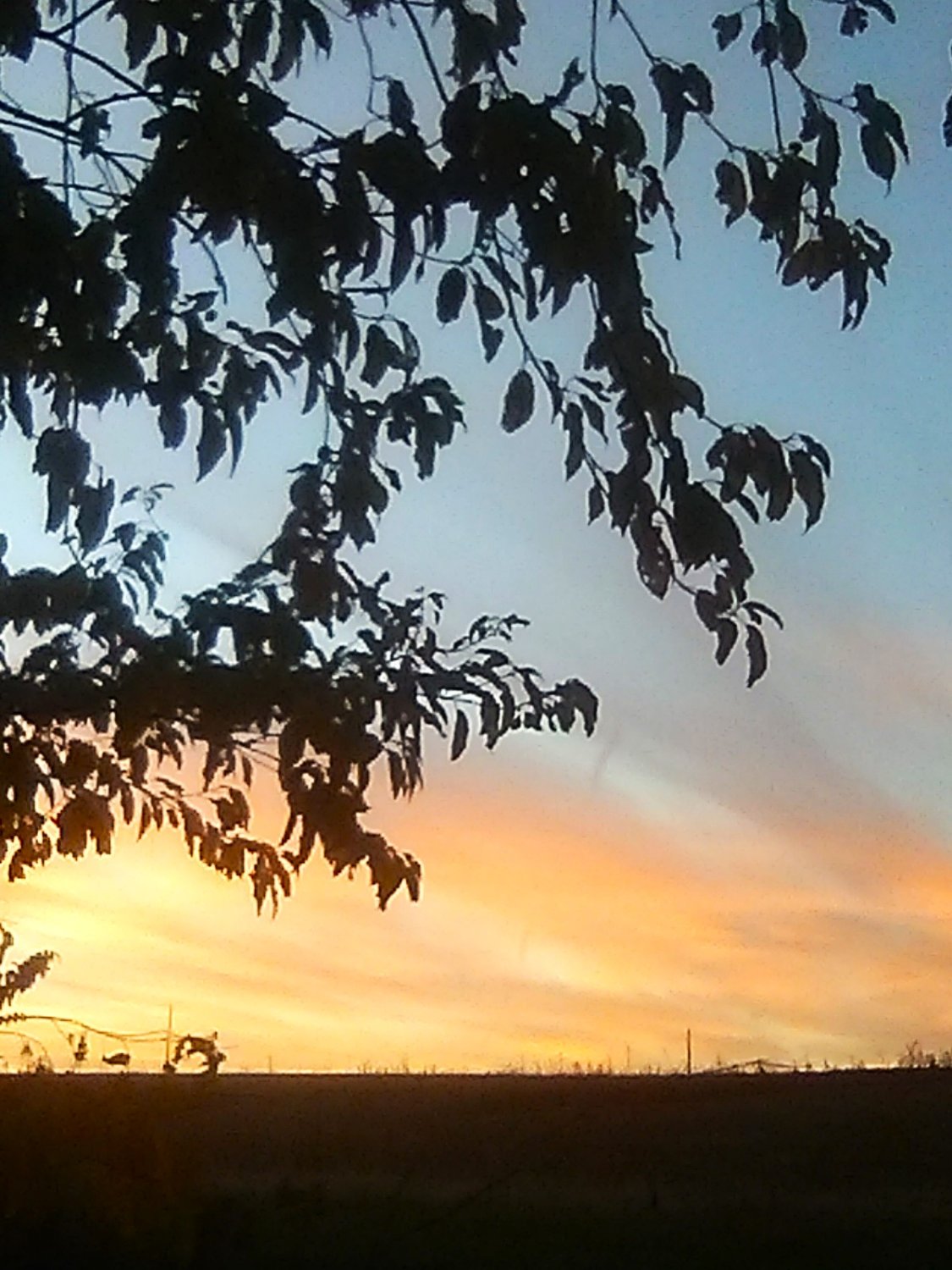 Solve Beautiful October Sunset! jigsaw puzzle online with 165 pieces