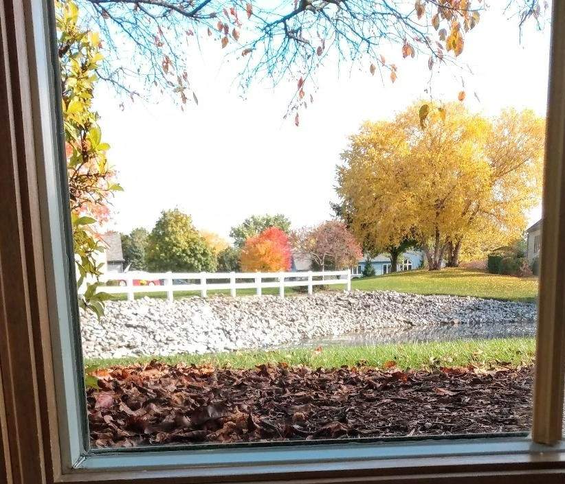 Solve Through the window jigsaw puzzle online with 72 pieces