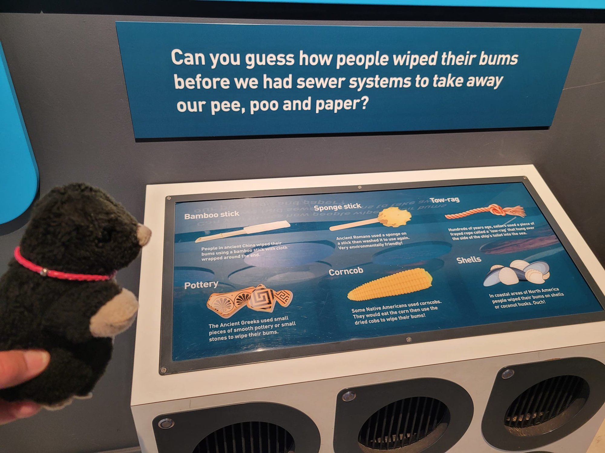 Solve All about Poo! jigsaw puzzle online with 88 pieces