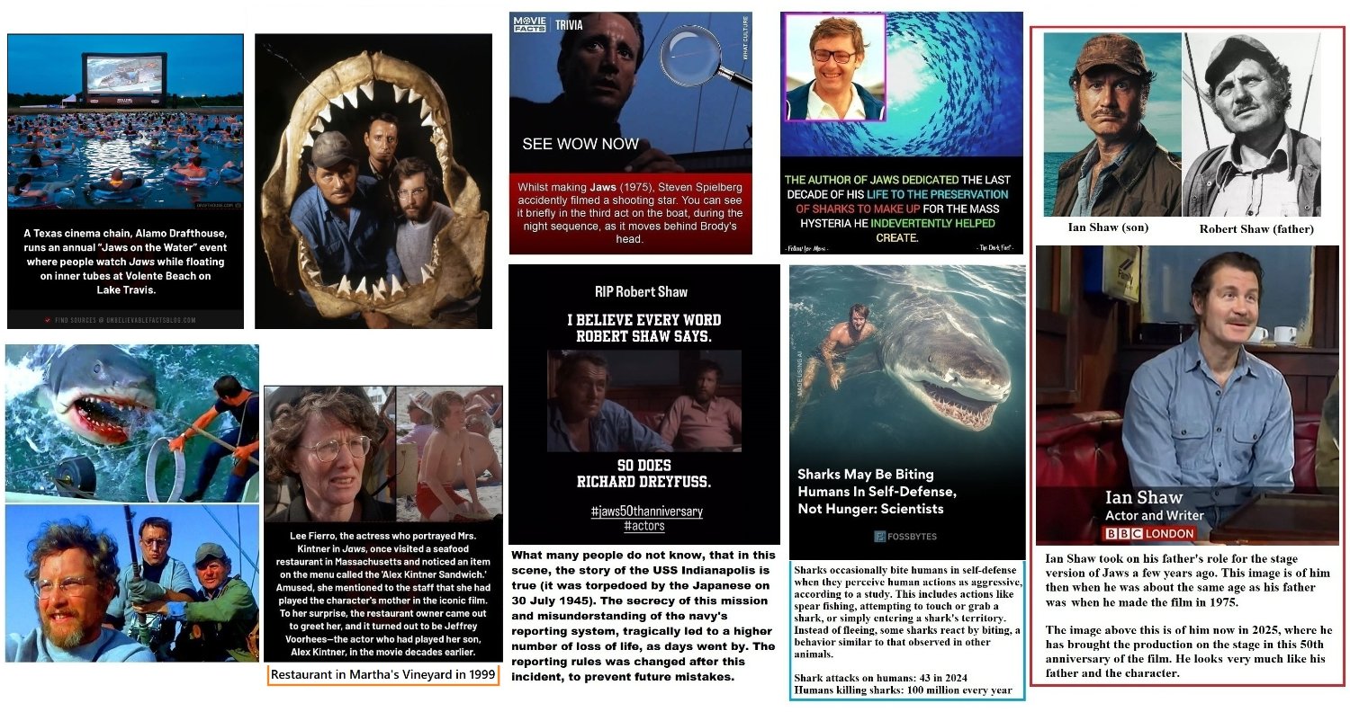 Jigsaw Puzzle | 15 pieces | Wobblybear's Fun Stuff (wbfs) - *Jaws (1975 ...