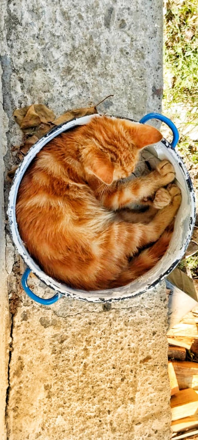 Solve bef80696-5c93-4455-9d36-0424d3e89a64 jigsaw puzzle online with ...