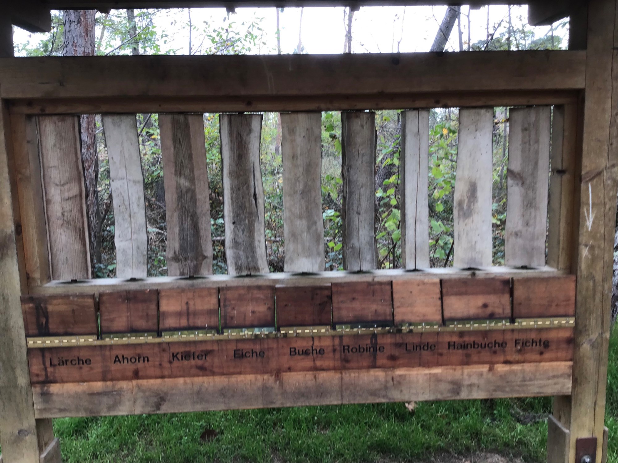 Solve Hölzer 2 jigsaw puzzle online with 450 pieces