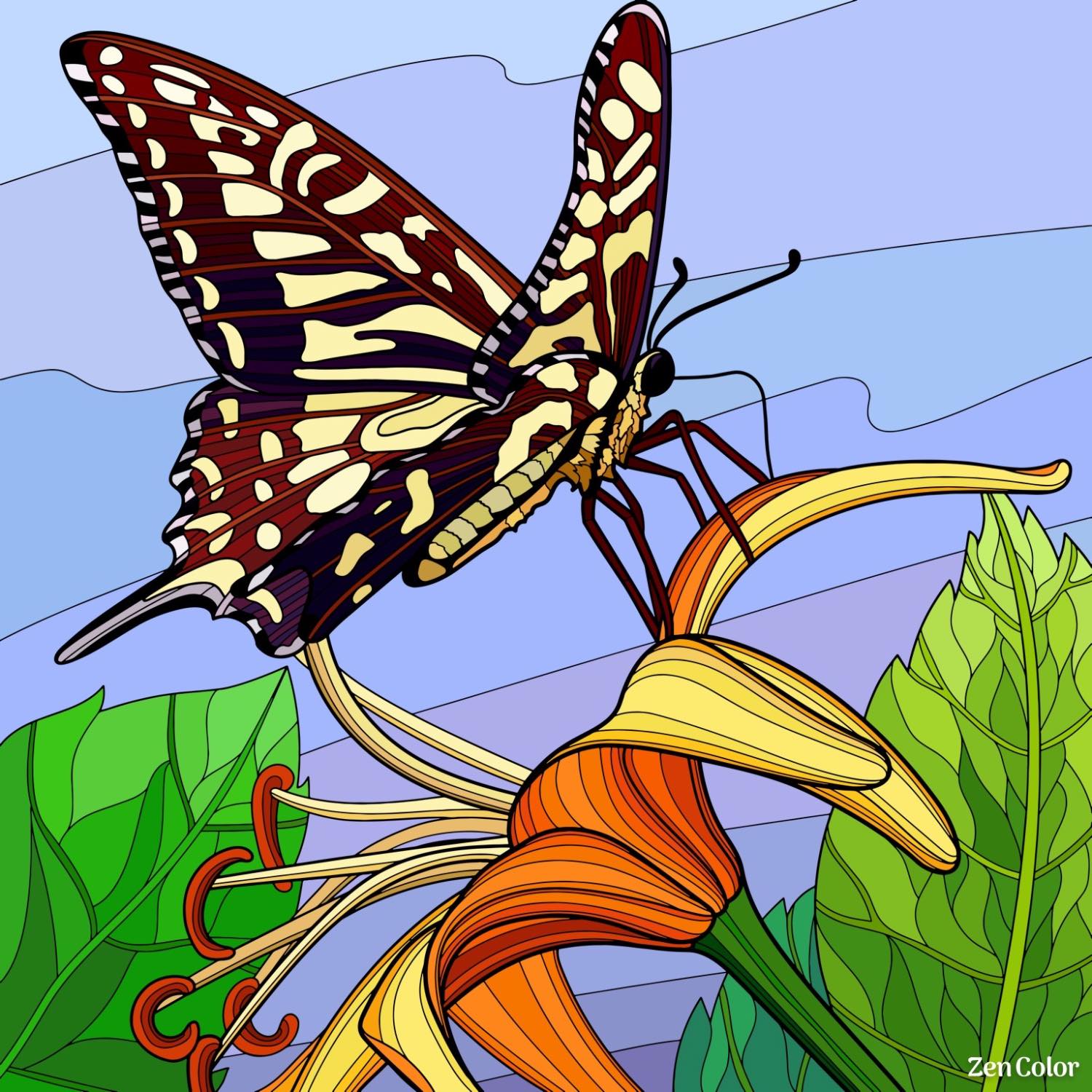Solve Butterfly jigsaw puzzle online with 225 pieces