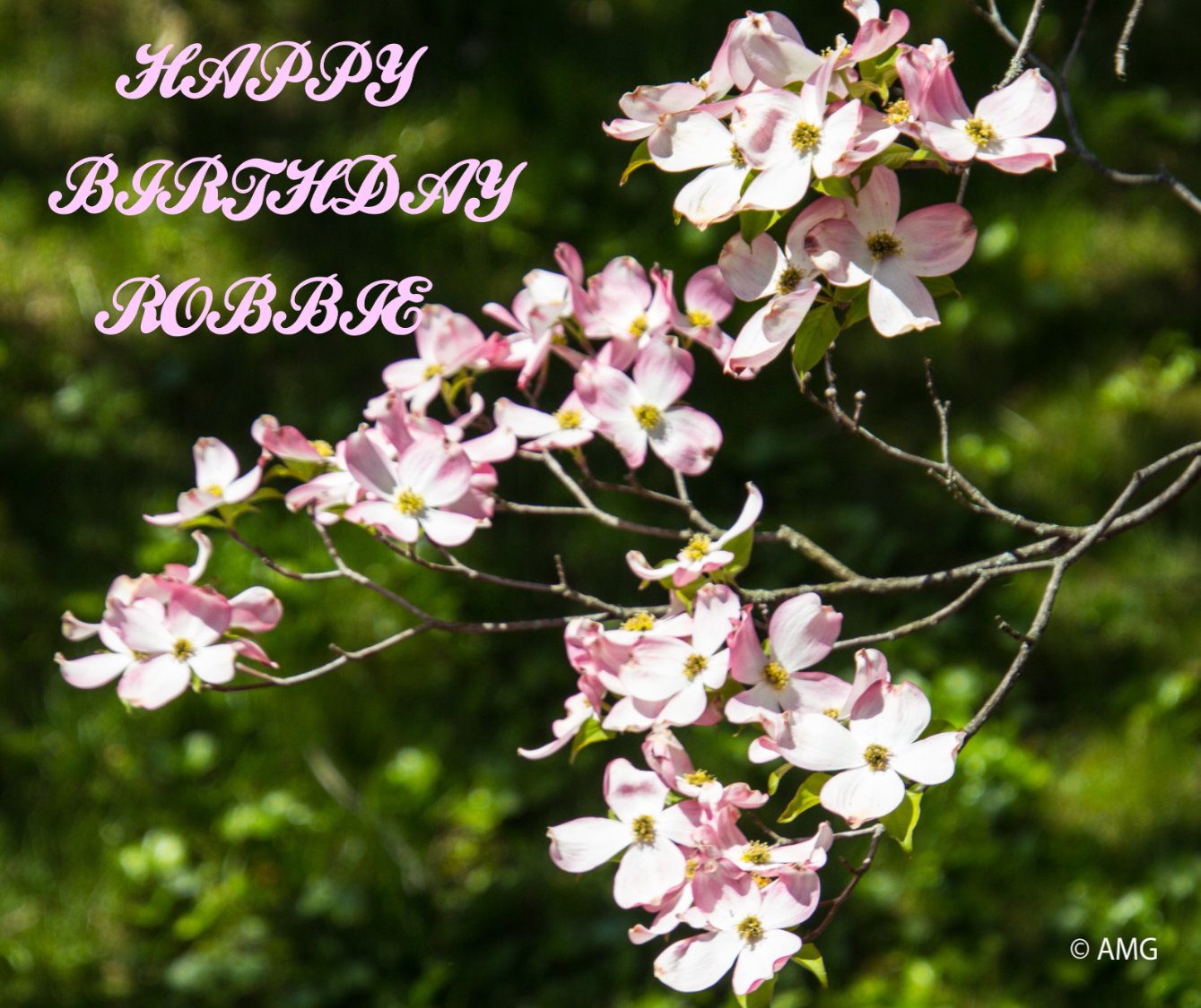 Solve Happy Birthday, Robbie (Porgy) jigsaw puzzle online with 9 pieces