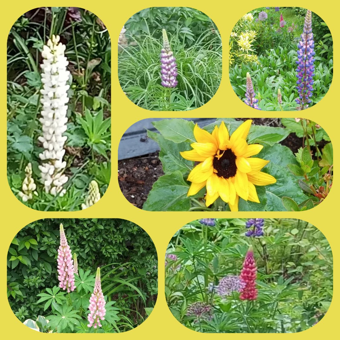 Solve 18.5.2025 - Jaro končí, přichází léto / Spring is ending, summer ...