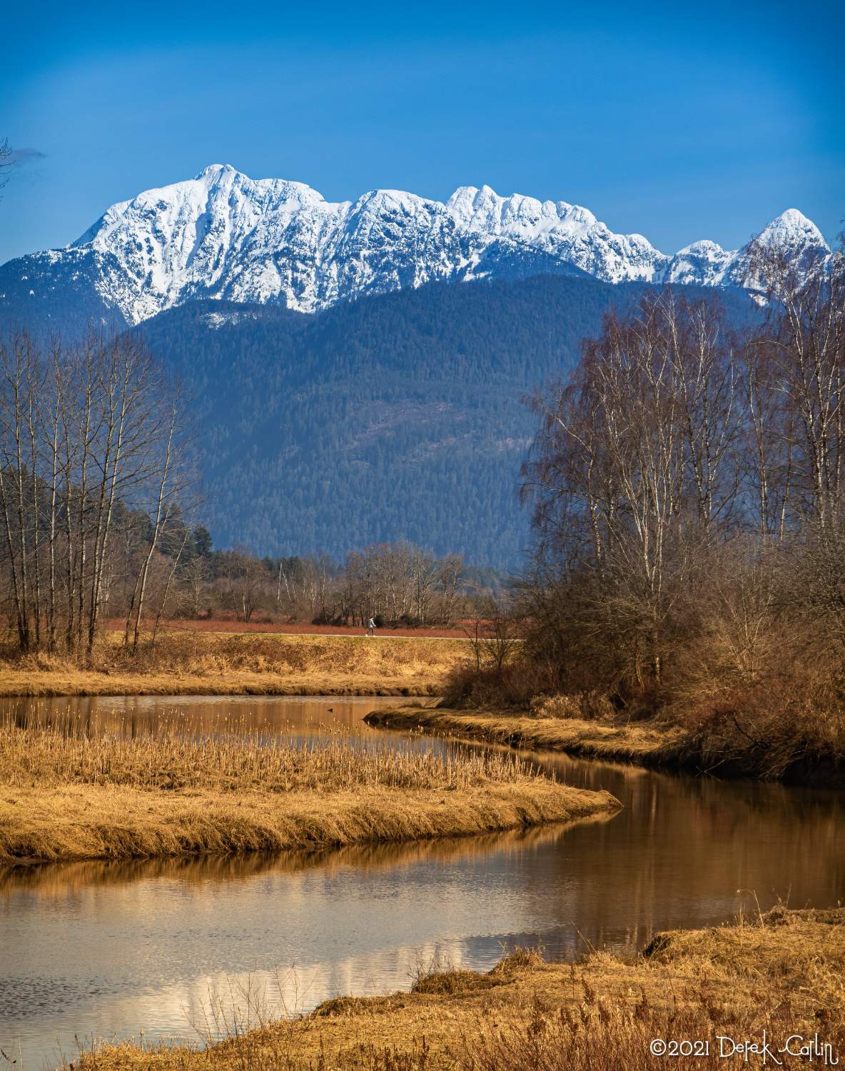 Solve Deboville Slough, Spring 2021 jigsaw puzzle online with 252 pieces