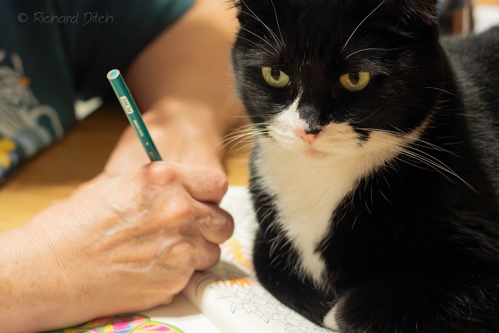 Solve Molly supervises while Carol colors jigsaw puzzle online with 77 ...