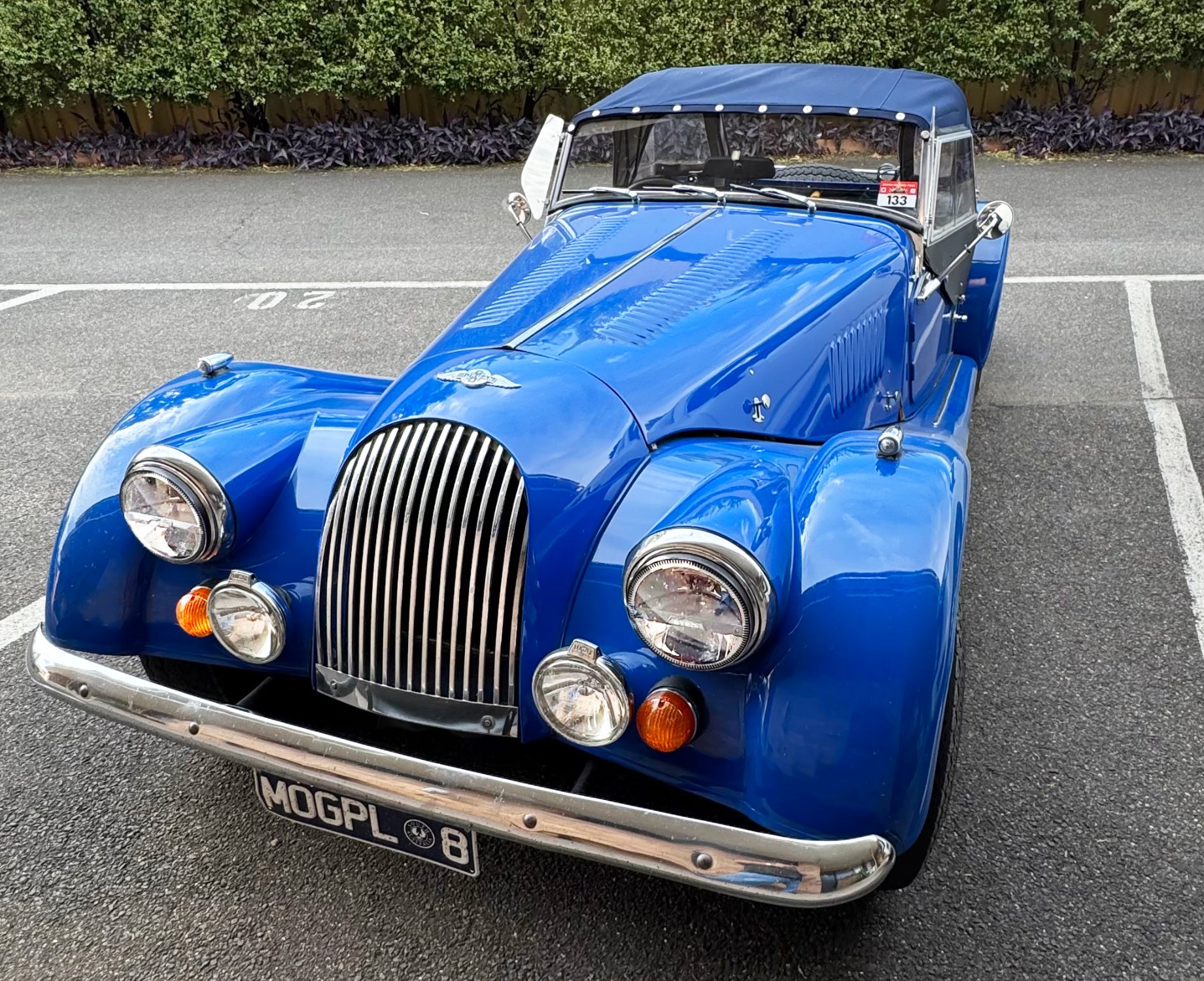 Solve Morgan Blue Plus 8 jigsaw puzzle online with 99 pieces