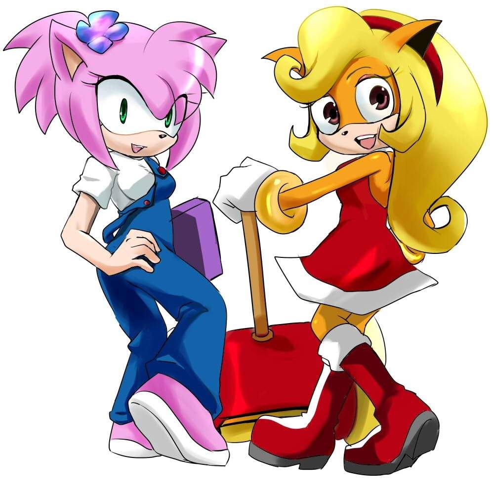 Solve Amy Rose and Coco Bandicoot jigsaw puzzle online with 100 pieces