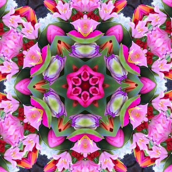 Solve Yesterday’s tulips turned into a kaleidoscope jigsaw puzzle ...