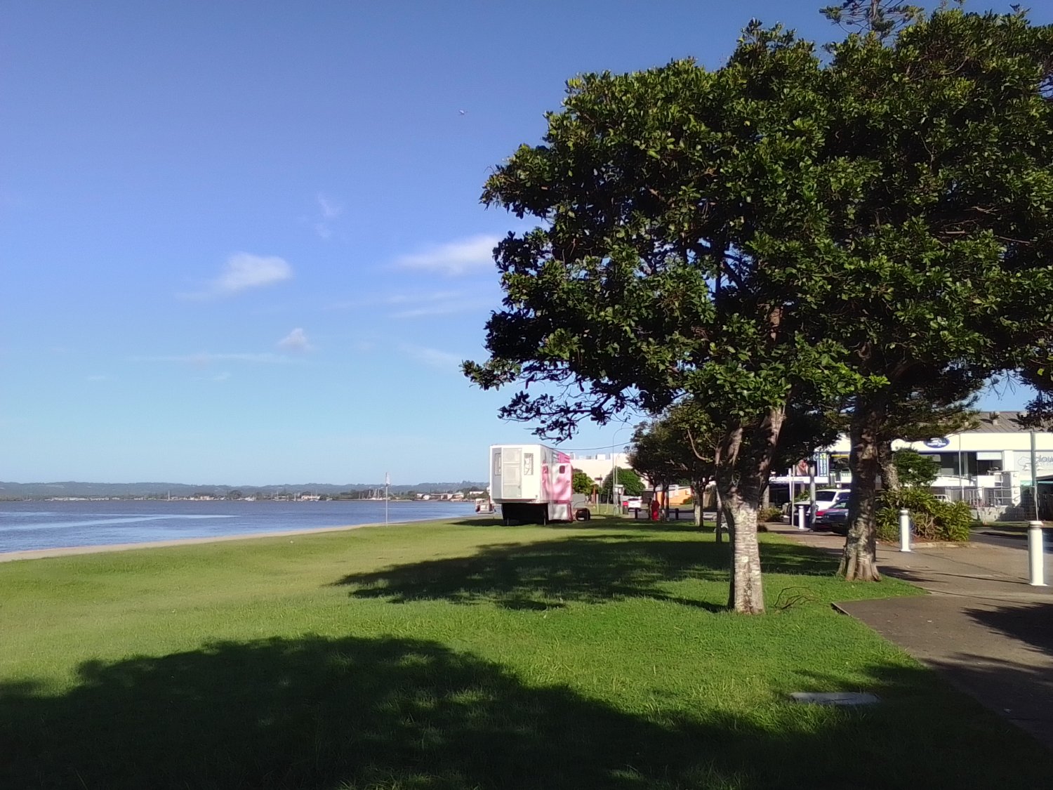 Solve Looking West jigsaw puzzle online with 12 pieces