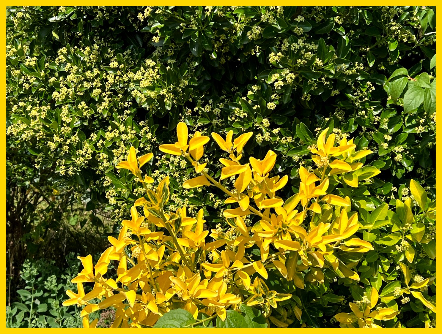 Solve Beautiful nature. jigsaw puzzle online with 12 pieces