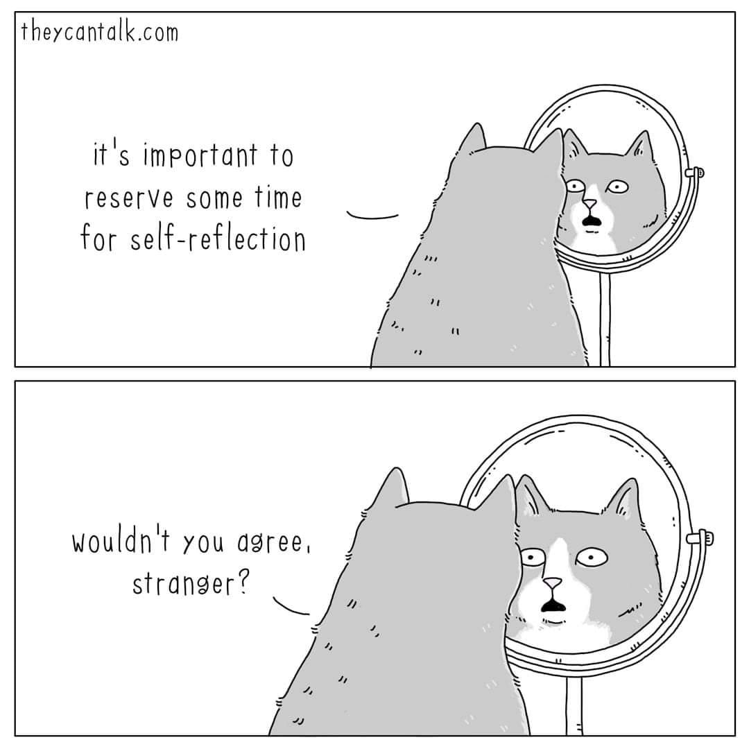 Solve Wobblybear's Fun Stuff (wbfs) - Cat's self reflection jigsaw ...