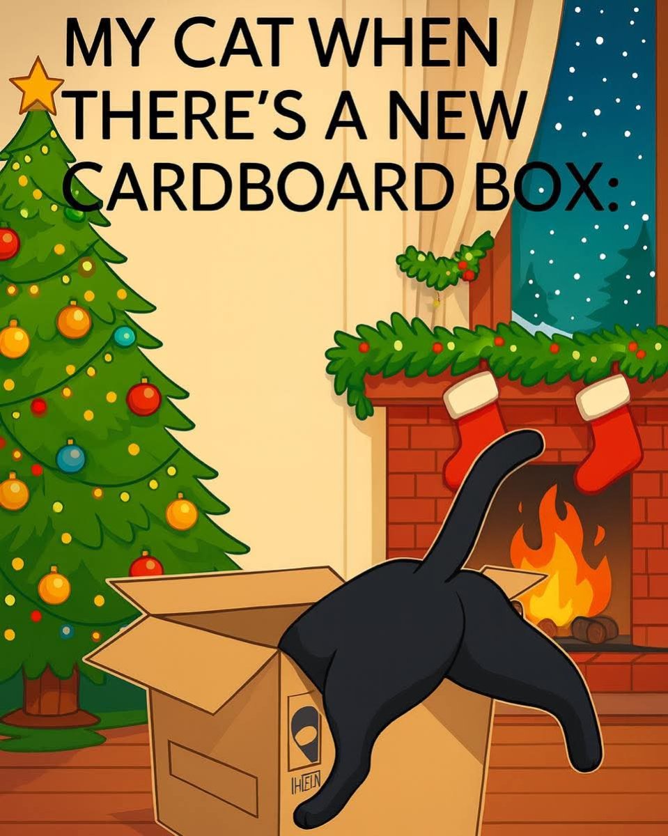 Solve Cat and a box jigsaw puzzle online with 30 pieces