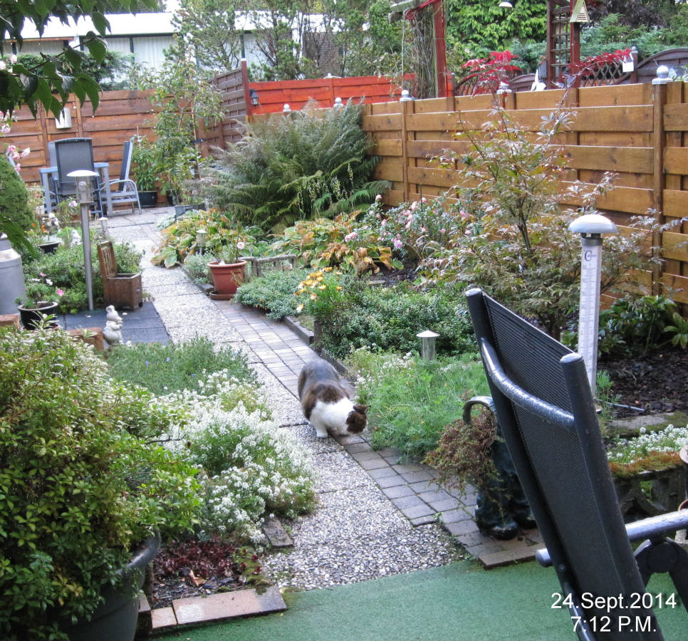 Solve Goofie: The things you can spot on garden patrol..... jigsaw ...