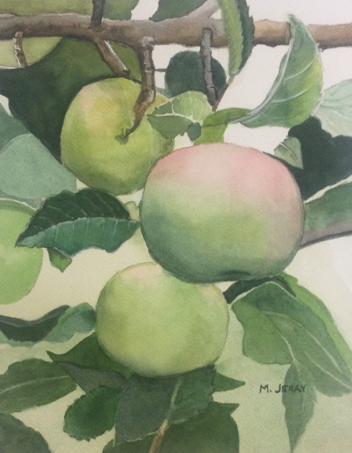 Solve apples jigsaw puzzle online with 48 pieces