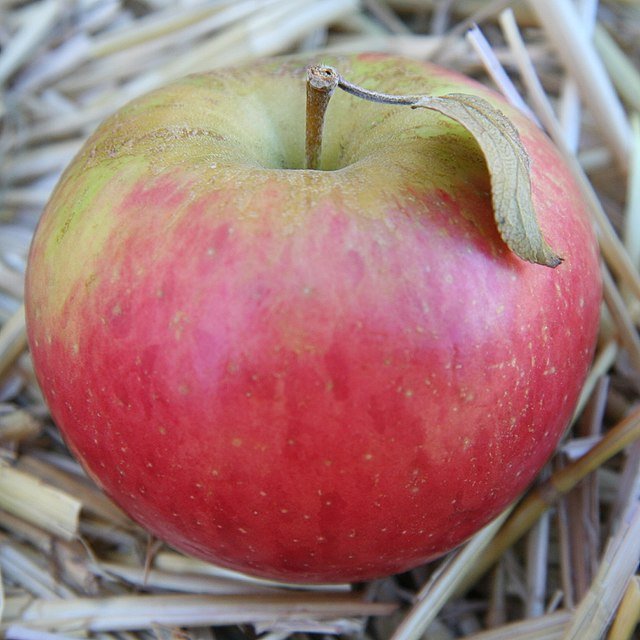 Solve 640px-Honeycrisp jigsaw puzzle online with 25 pieces