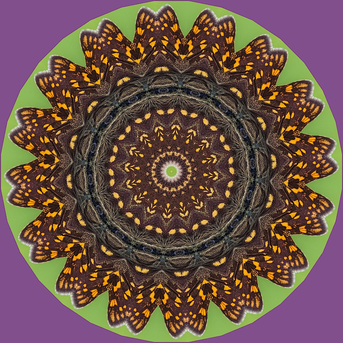 Solve #1 very small jigsaw puzzle online with 25 pieces