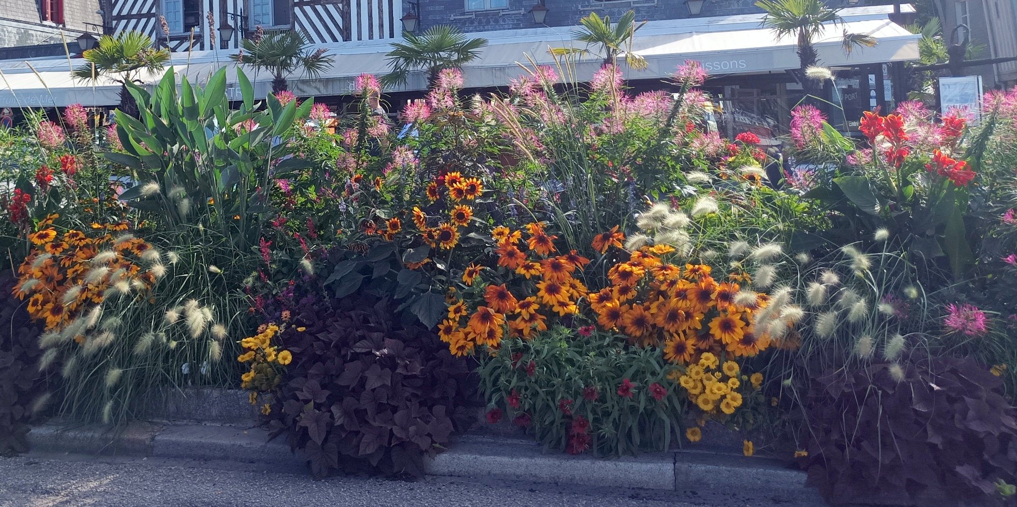 Solve flower bed jigsaw puzzle online with 78 pieces