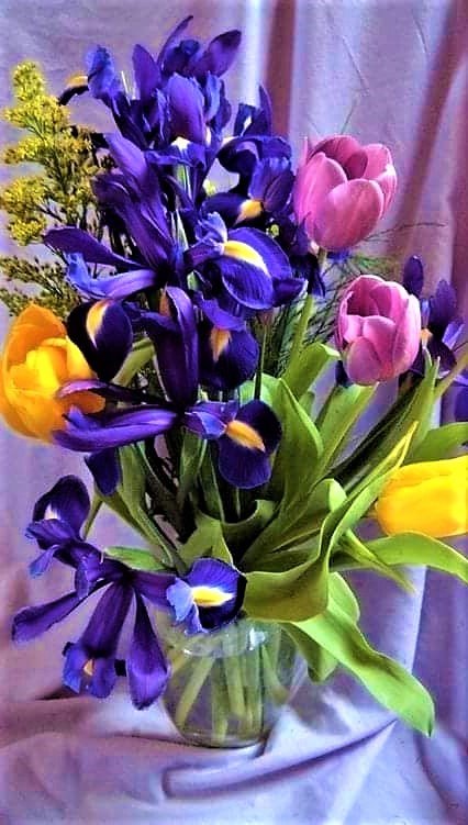 Solve The magic of seasons jigsaw puzzle online with 45 pieces