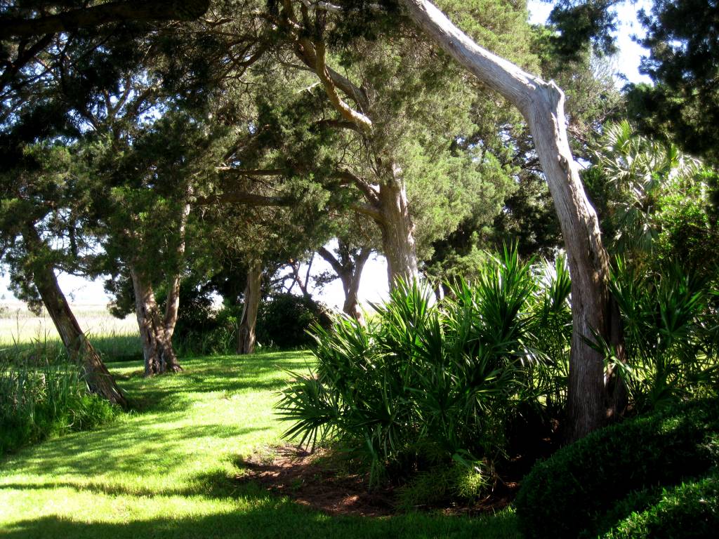 Solve low country trees jigsaw puzzle online with 70 pieces