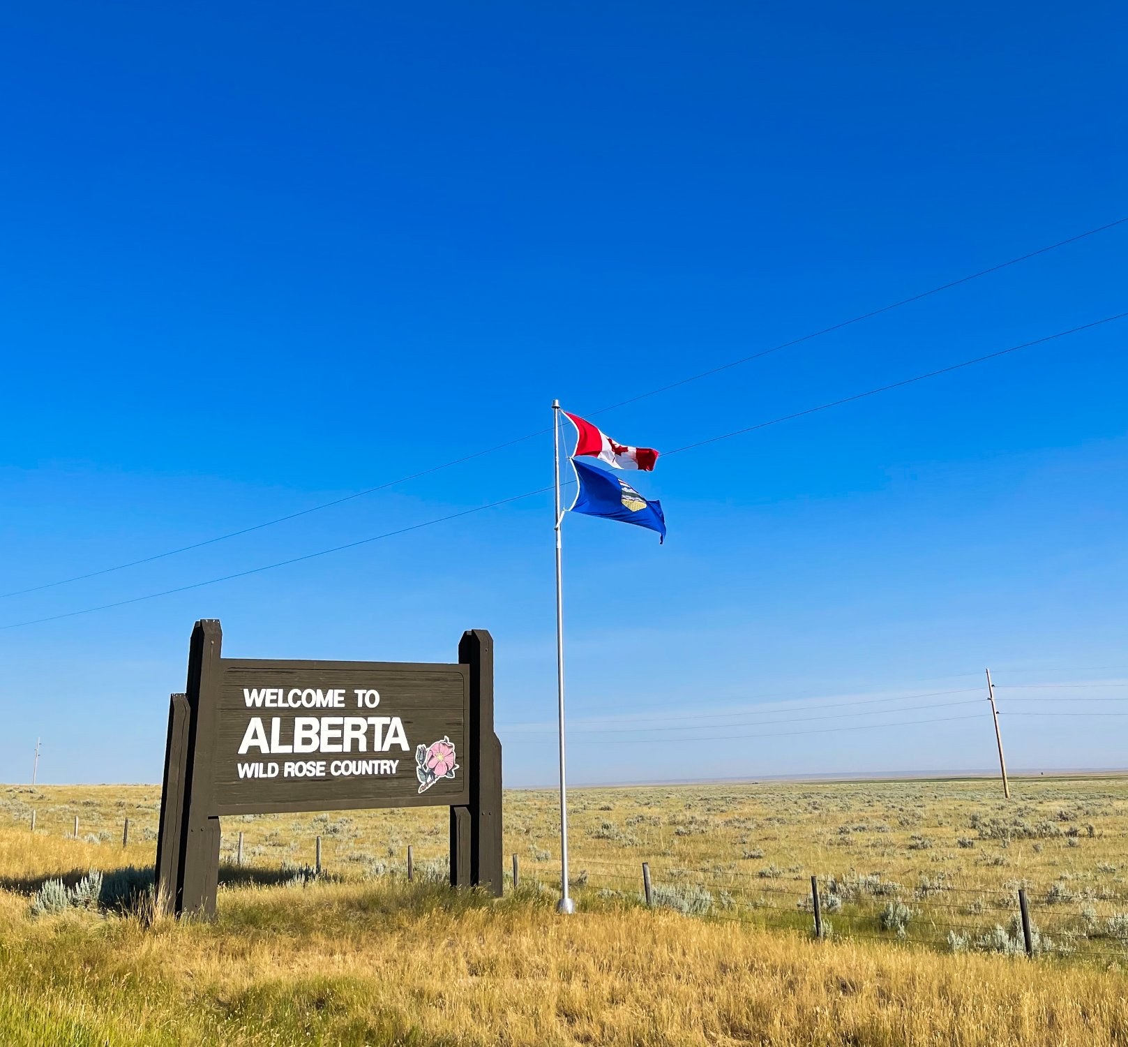 Solve Welcome to rat-free Alberta jigsaw puzzle online with 132 pieces