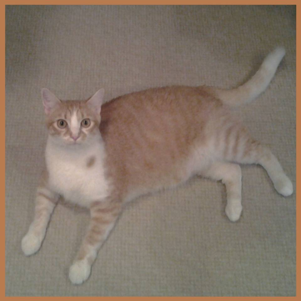 Solve What? Your Birthday, Pat?....Happy Birthday from Jill and ...