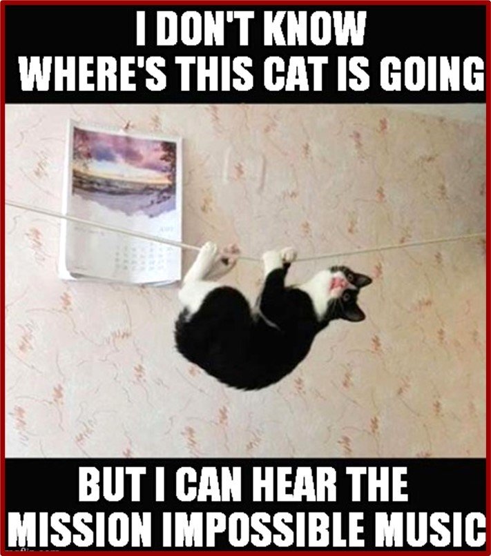 Solve Hang On Tight, Kitty! jigsaw puzzle online with 30 pieces