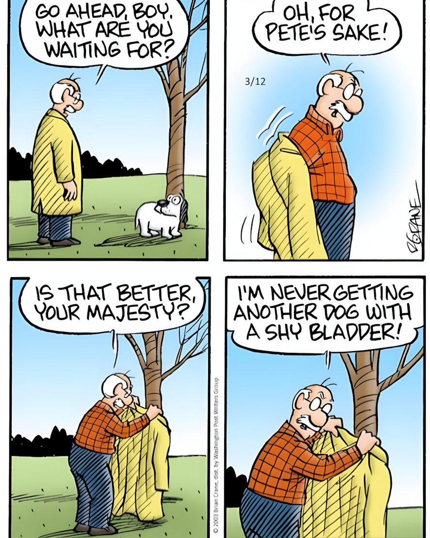 Solve Dogs :-) jigsaw puzzle online with 20 pieces