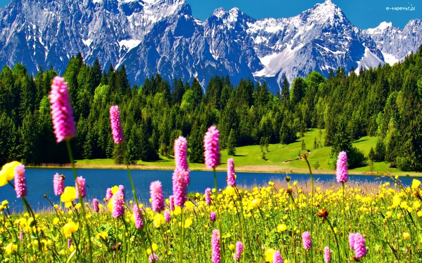 Solve Příroda jigsaw puzzle online with 40 pieces