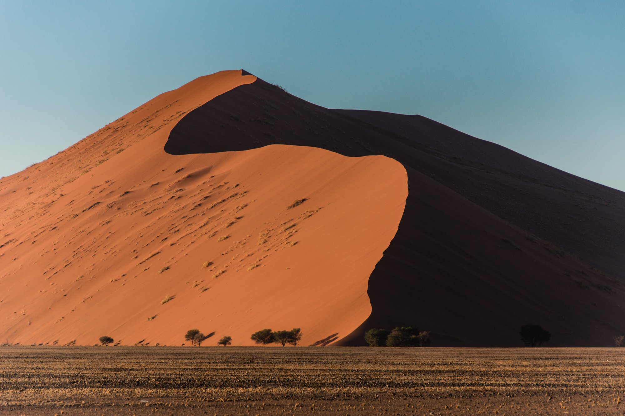 Solve Namibia Düne jigsaw puzzle online with 198 pieces