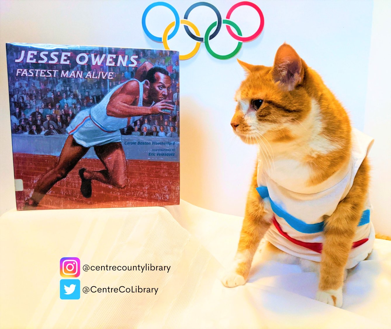 Solve Cat Icon Game #229 - Horatio the Library Cat celebrates Jesse ...