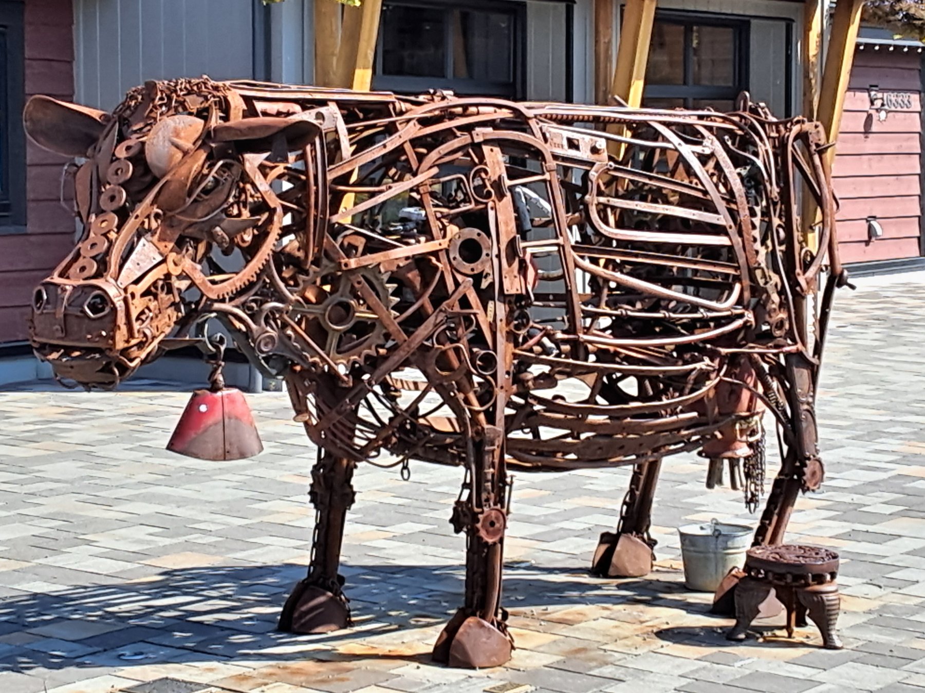 Solve Moooooooo 🇨🇦 jigsaw puzzle online with 63 pieces