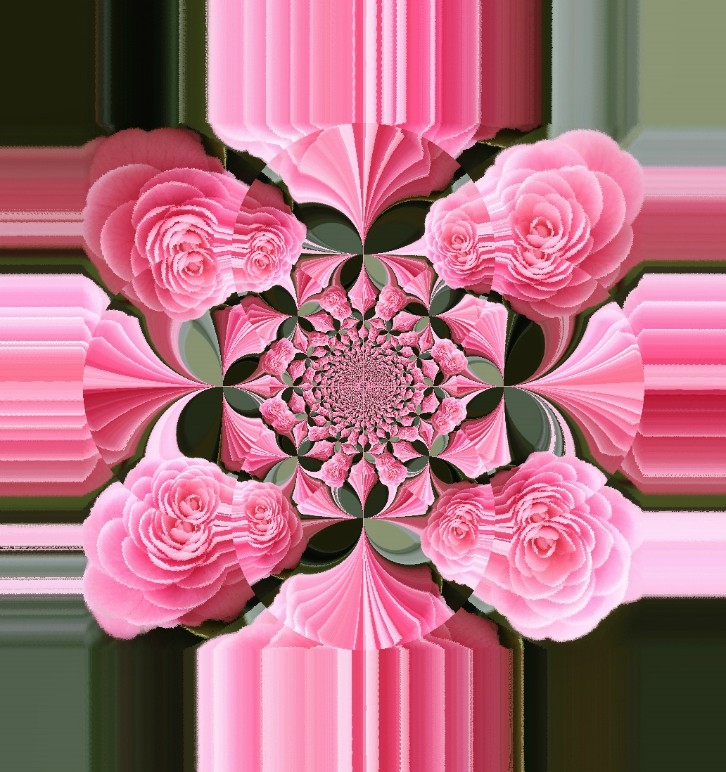 Solve Camellia jigsaw puzzle online with 110 pieces