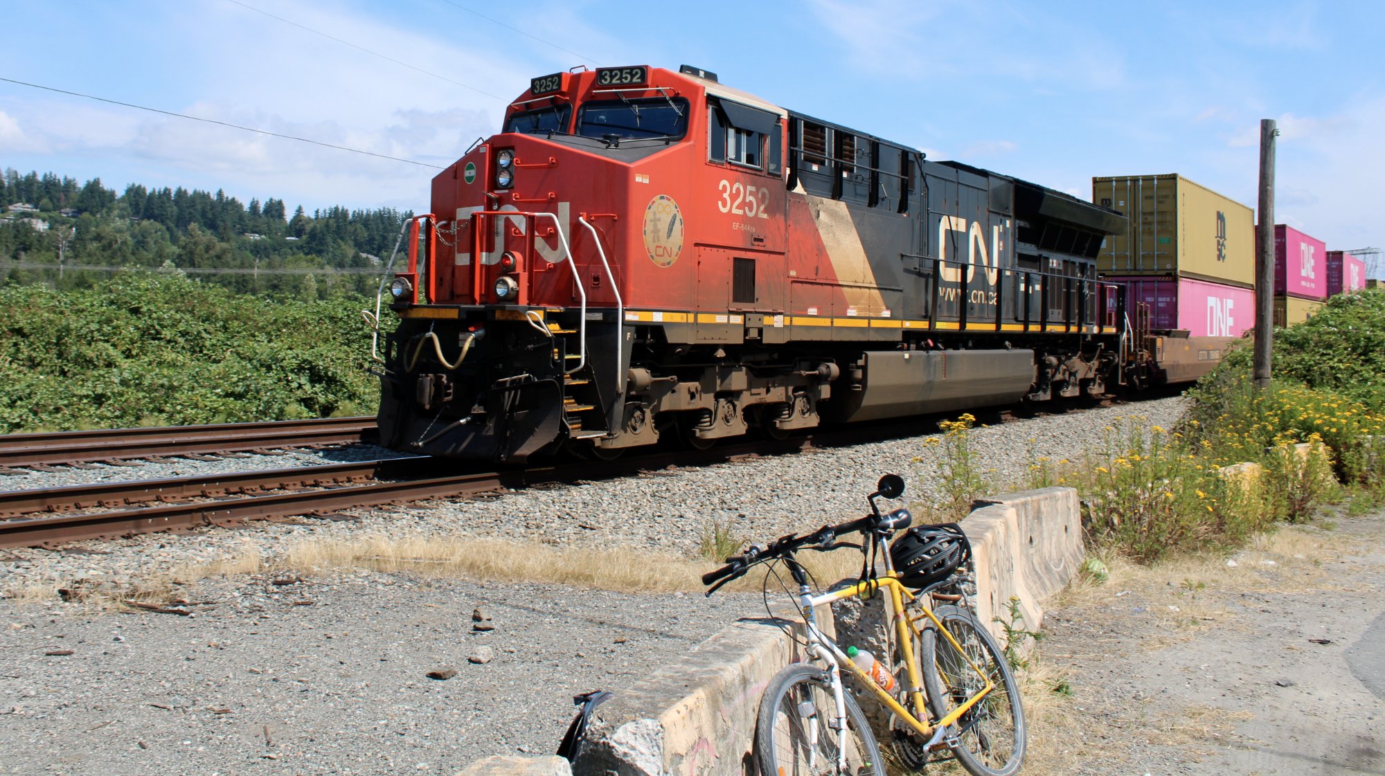 Solve Pushing jigsaw puzzle online with 144 pieces