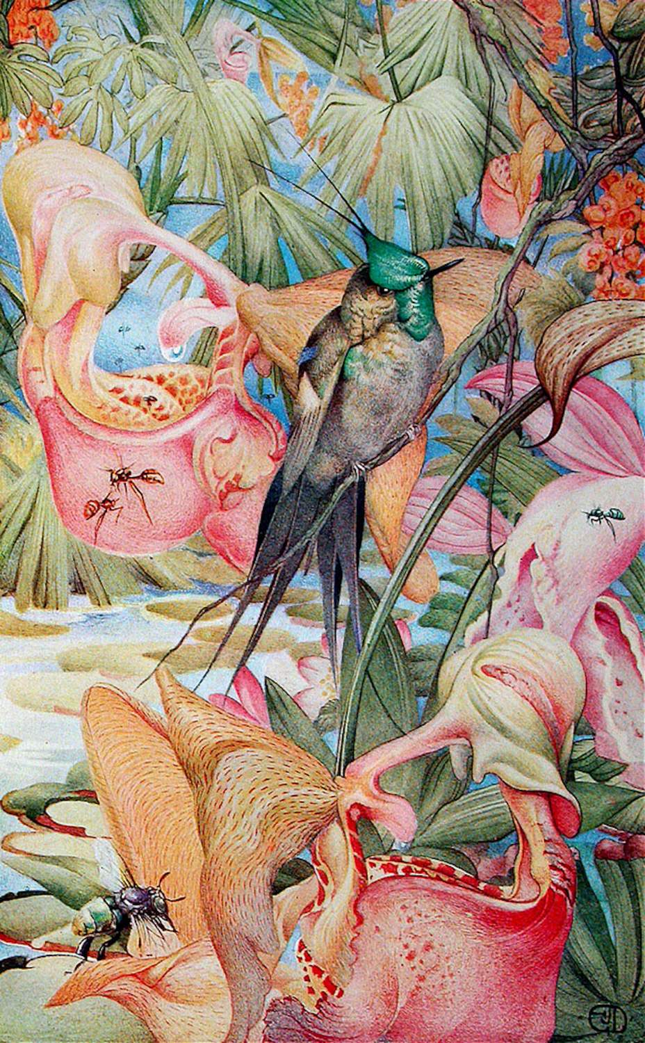 Solve Edward J. Detmold (British, 1883–1957) jigsaw puzzle online with ...