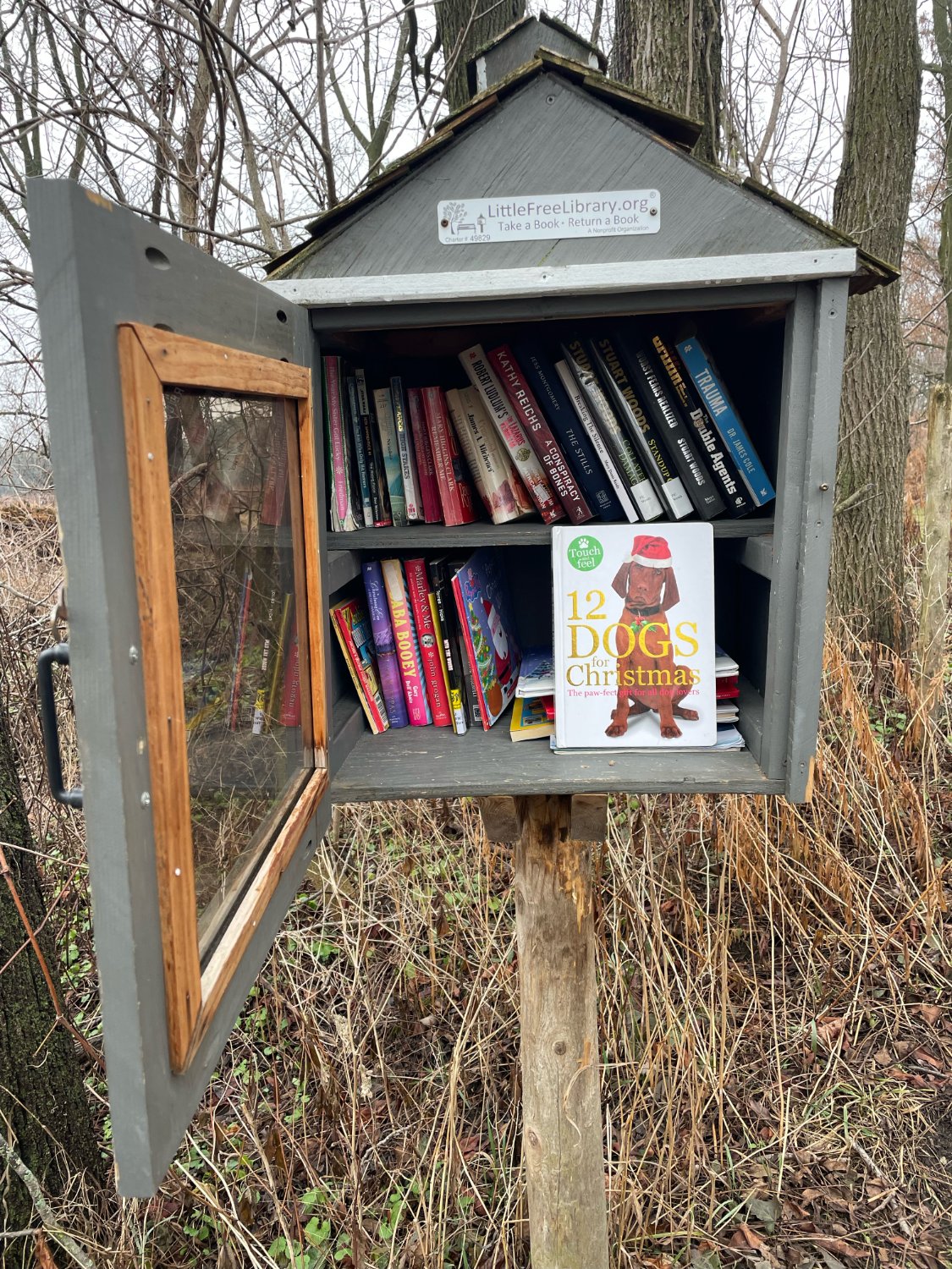 Solve Little Library jigsaw puzzle online with 99 pieces