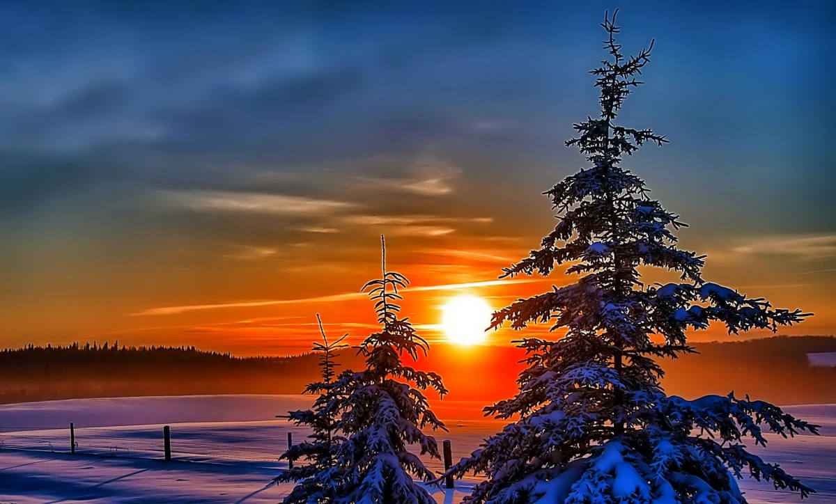 Solve Canadian winter scene jigsaw puzzle online with 84 pieces