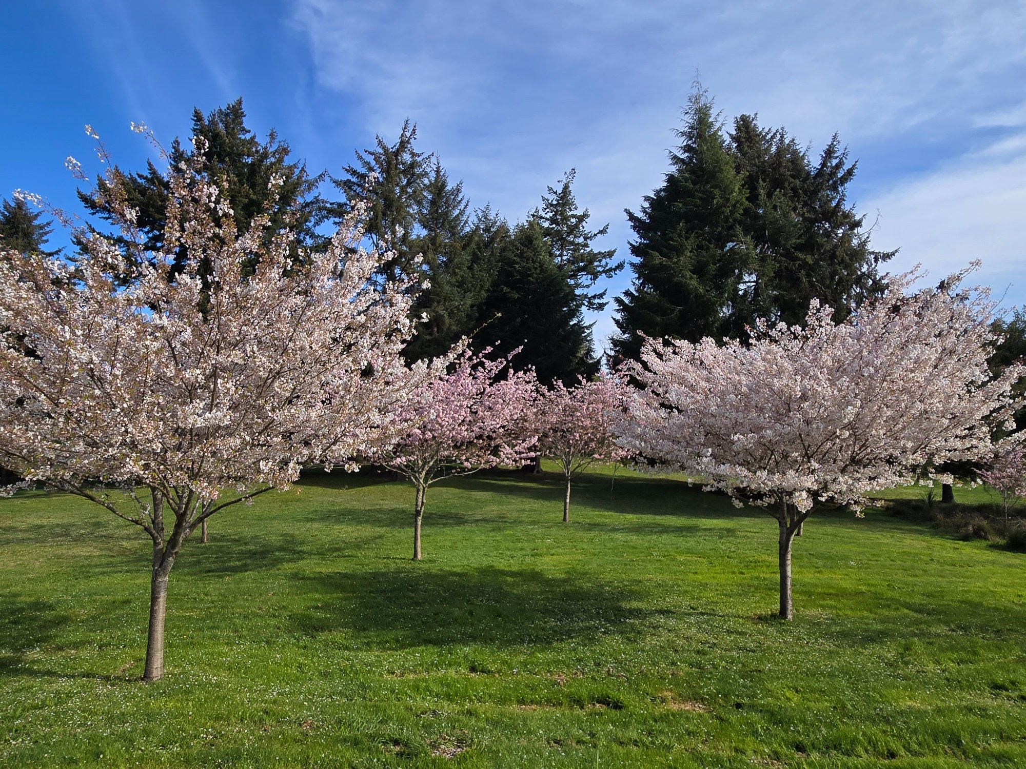 Solve Spring Is Busting Out All Over (resizes 12 - 594) jigsaw puzzle ...