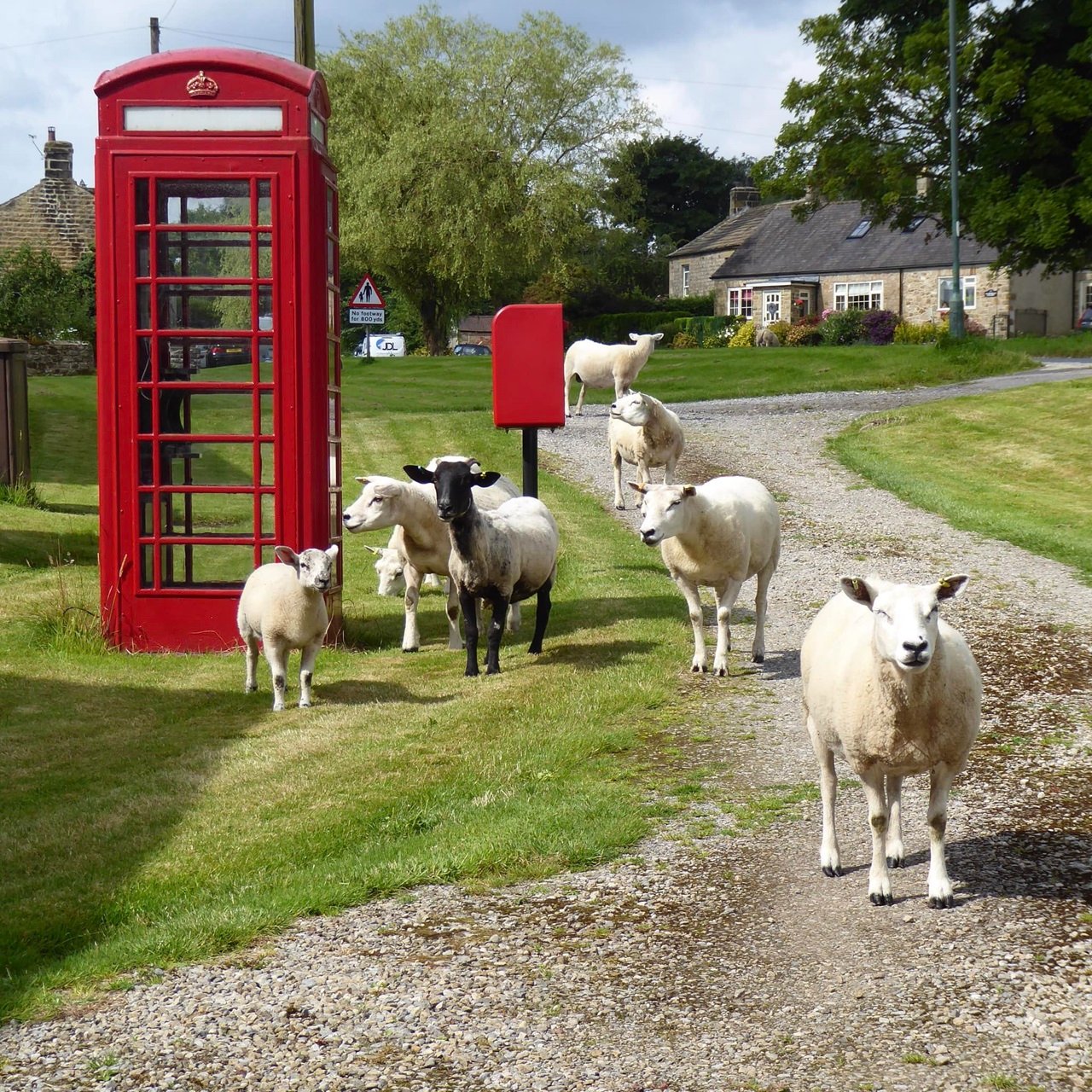 Solve On the village green in Fearby after the great escape (North ...