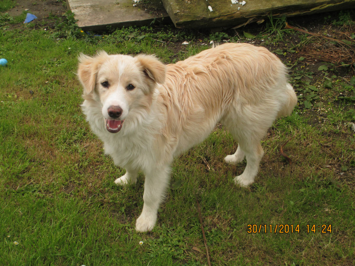 Solve Freya jigsaw puzzle online with 80 pieces