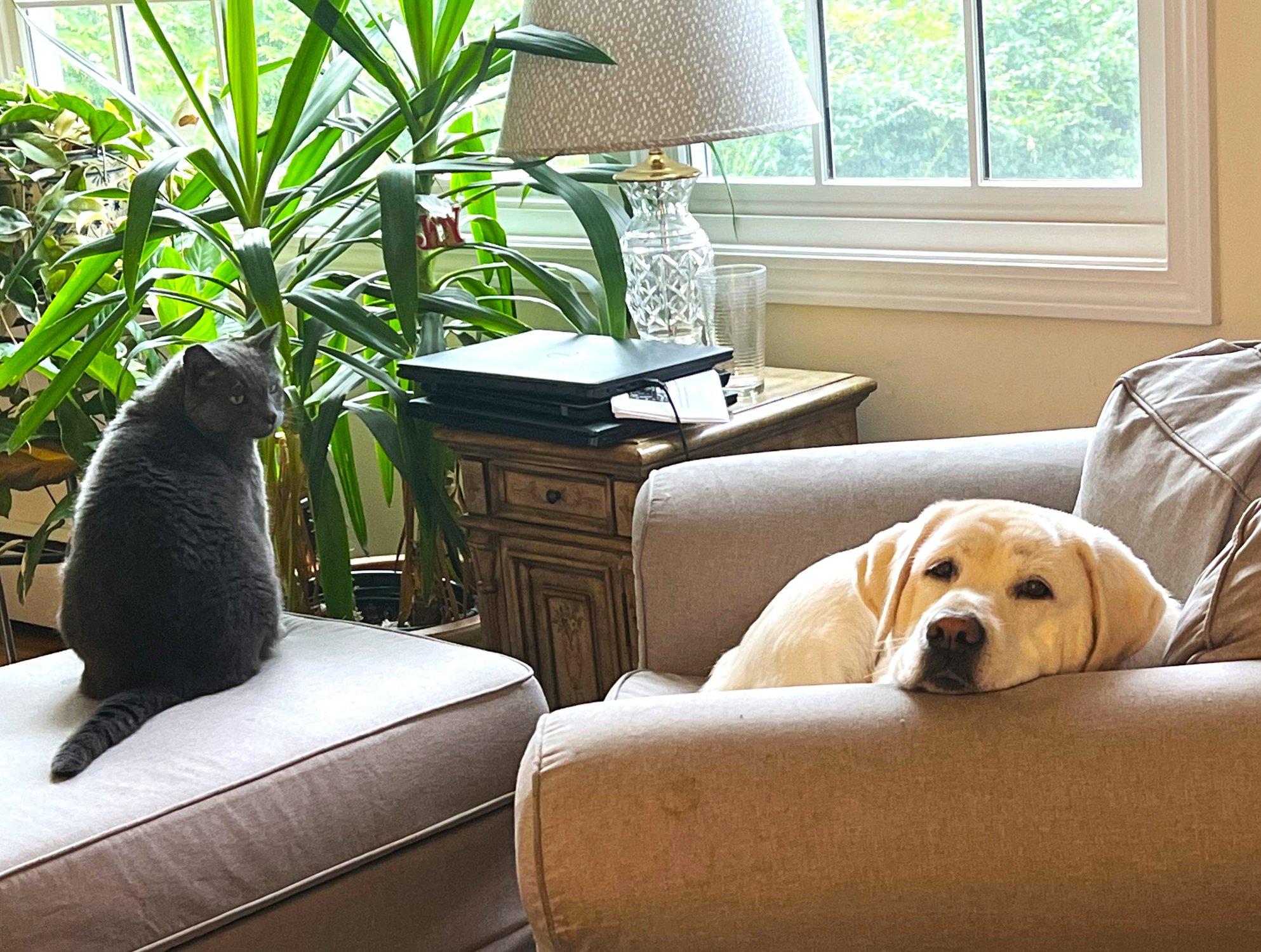 Solve Taking a break jigsaw puzzle online with 80 pieces