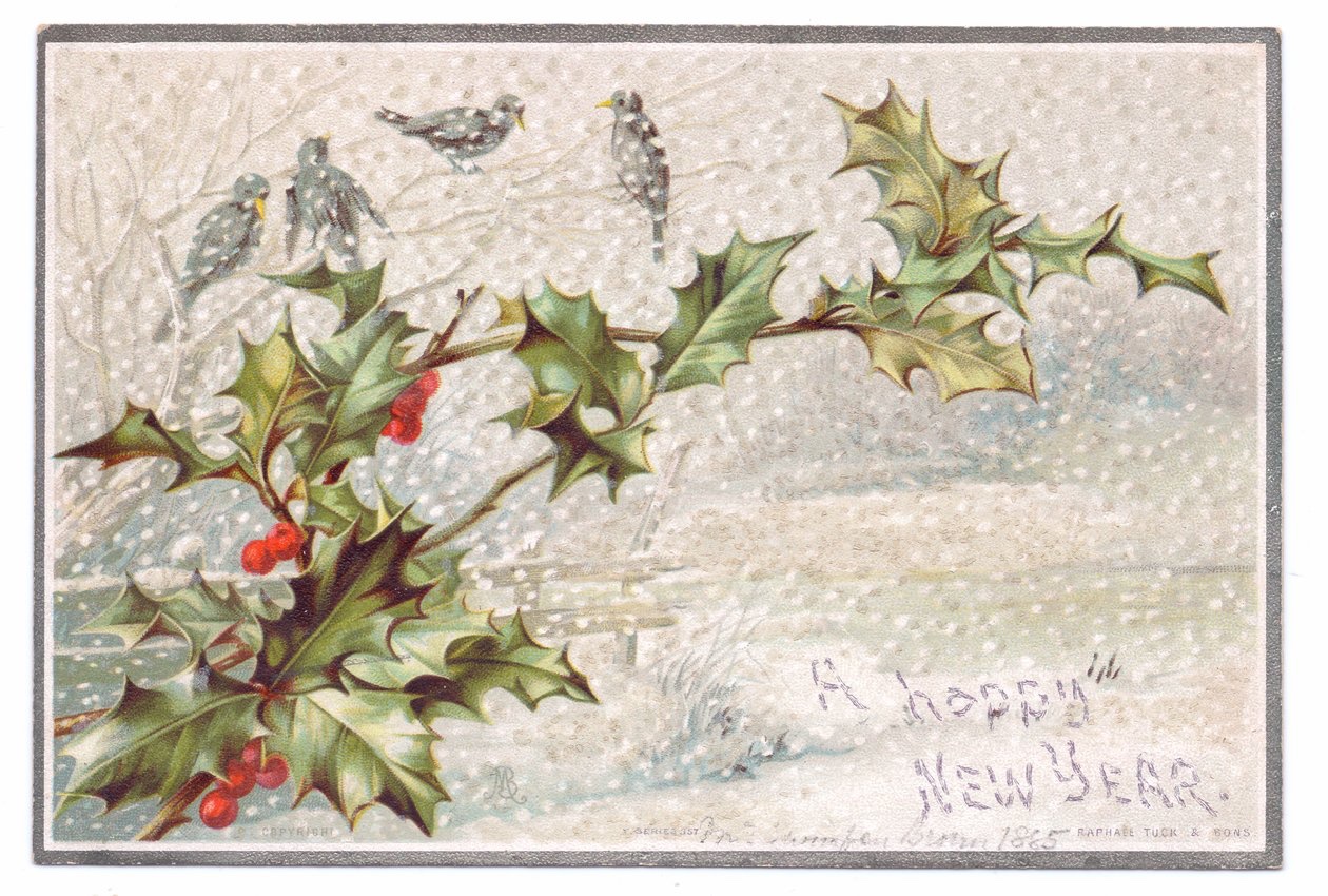 Solve English School - Victorian New Year Card of Birds on Branches in ...