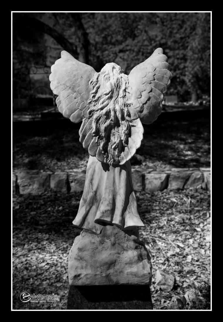 Solve Angel Wings jigsaw puzzle online with 88 pieces
