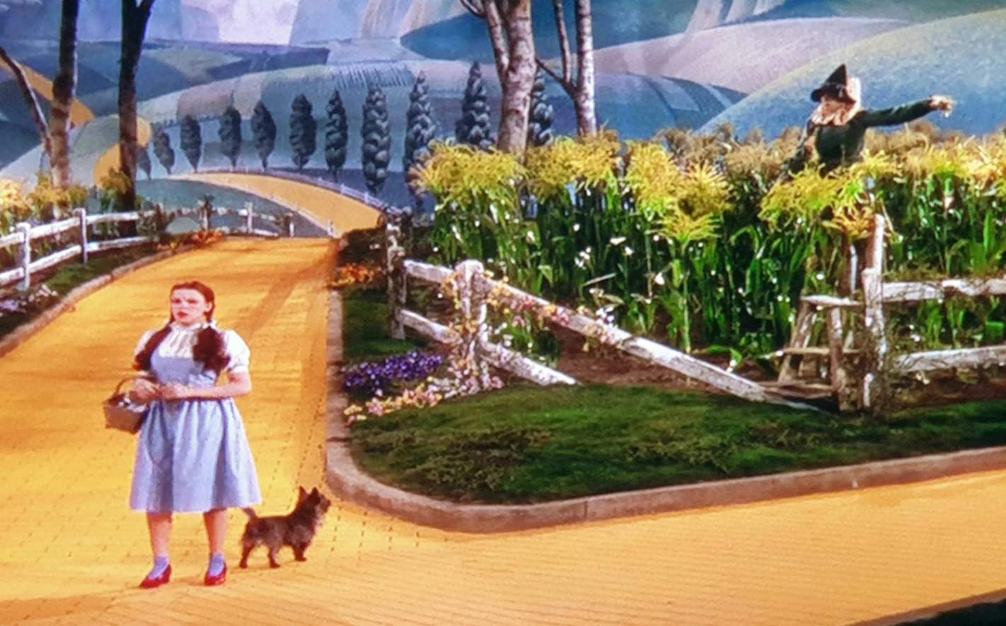Solve Dorothy Meets The Scarecrow 14 Jigsaw Puzzle Online With 28 Pieces