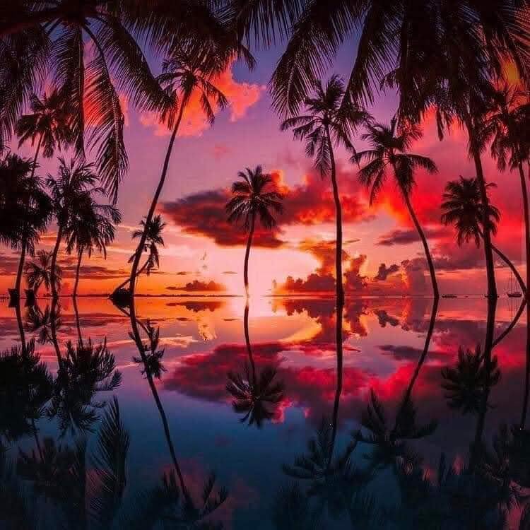 Solve A Clear Reflection jigsaw puzzle online with 144 pieces