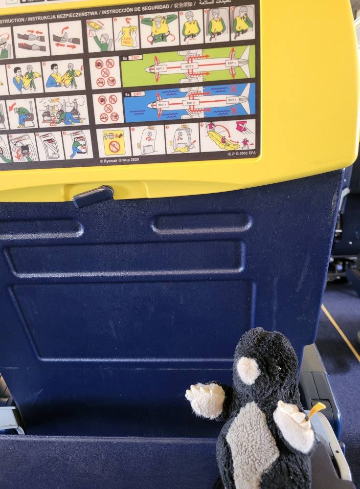 Solve Guess where I am? jigsaw puzzle online with 88 pieces